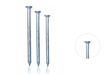 Flat Head Galvanised Nails – BIL – Ba Industries